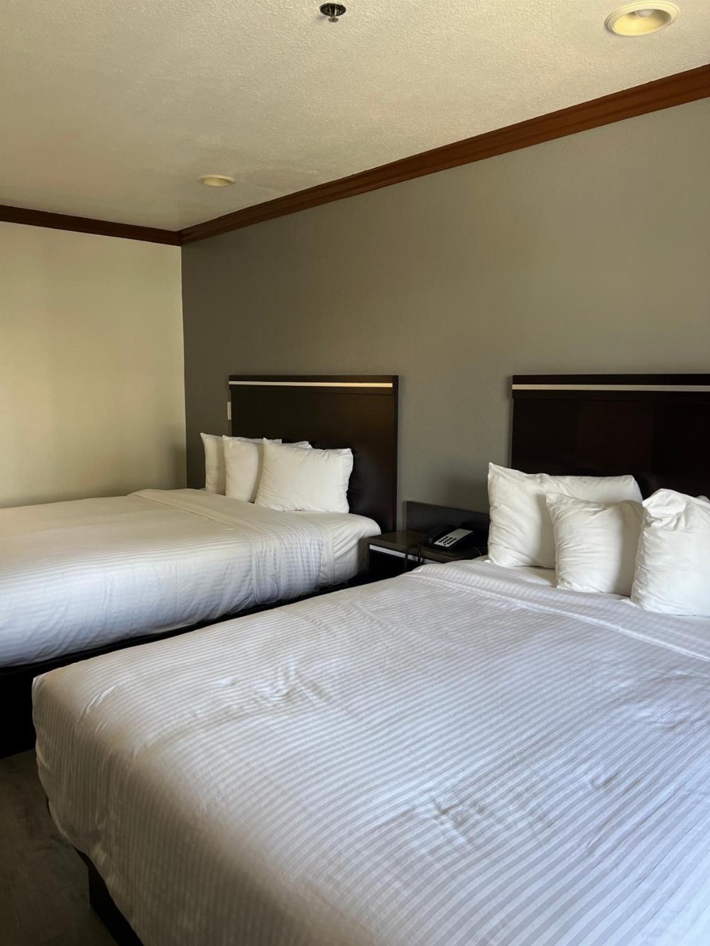 Starlight Inn - Huntington Beach, Huntington Beach Hotels, Hotels Near ...
